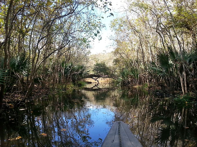 Gliding through Abbeville's peaceful waterways feels like traveling through a living postcard—an affordable adventure in your own backyard.