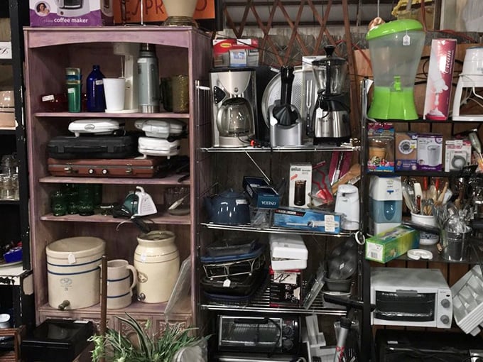 The kitchen appliance section is where modern meets vintage—toasters, coffee makers, and mixers that have witnessed decades of family breakfasts.