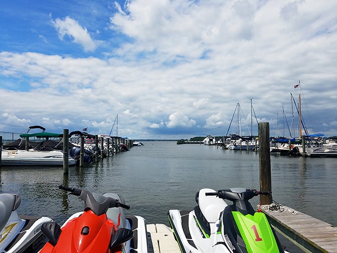 Rehoboth Bay marina, where jet skis and sailboats coexist like a nautical United Nations of weekend water warriors.