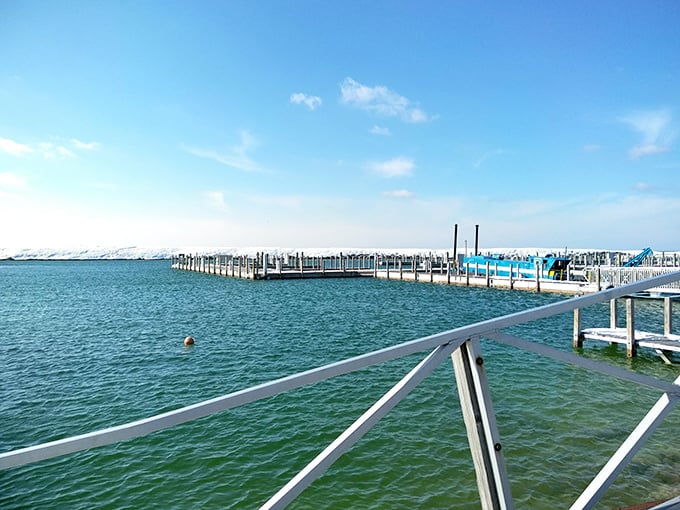 The marina hosts a floating neighborhood where every slip tells tales of weekend adventures and fishing stories.