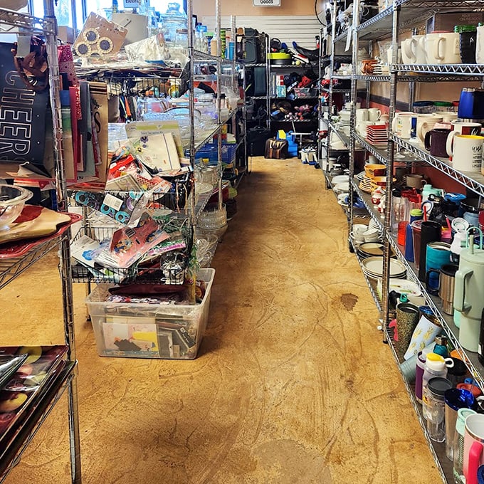 A housewares aisle that would make Marie Kondo weep with joy—organized chaos where someone's discarded kitchenware becomes your dining room conversation piece.