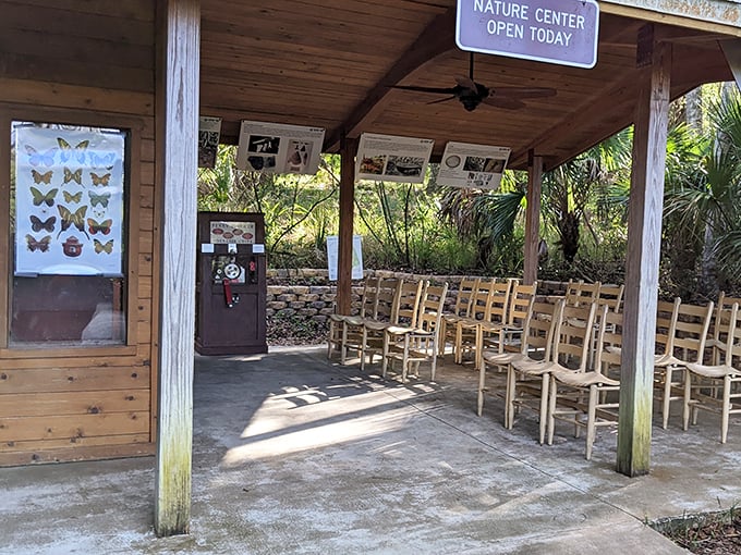 The Nature Center's outdoor classroom, where wooden chairs await curious minds and butterfly charts inspire wild dreams.
