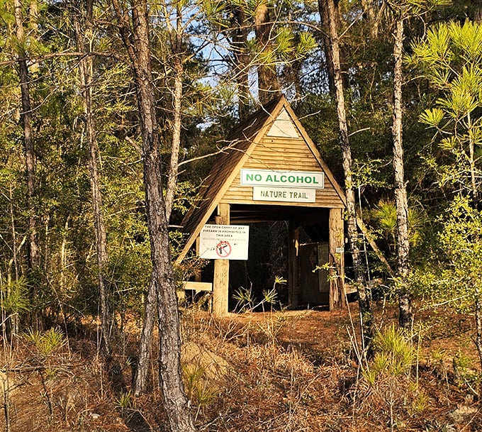 The nature trail entrance stands like a rustic portal to another world—one where cell service fades and bird songs become your new notification alerts.