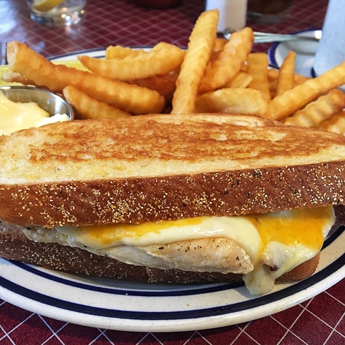 The grilled sandwich that launched a thousand road trips—melty cheese embracing tender chicken between perfectly toasted rye bread.