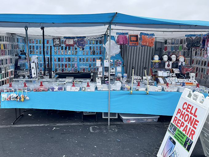 From phone cases to repairs, this booth solves all your tech troubles without requiring a second mortgage on your house.