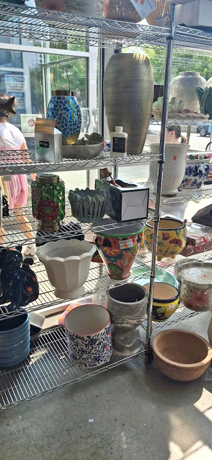 Vases and planters galore—because your sad office succulent deserves a stylish home too. Instant character for less than the price of brunch.