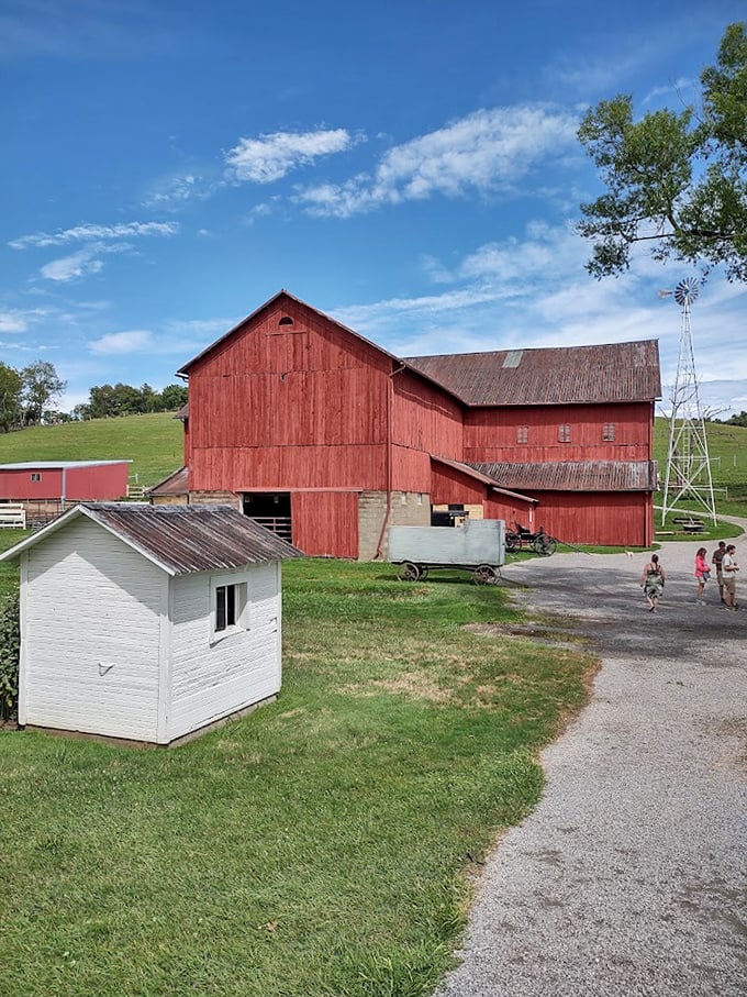 The iconic red barn—where actual horsepower still means something with four legs, not what's under your hood.