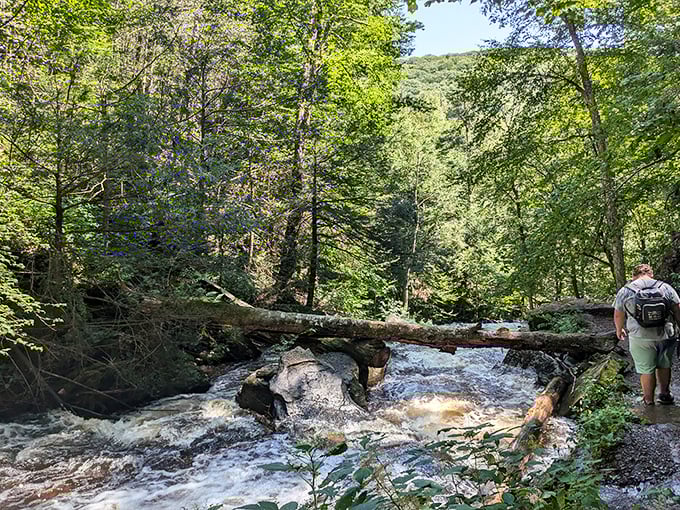 Mother Nature's mood swings on full display. This rushing stream after rainfall shows why sensible hikers pack waterproof everything—and maybe an ark.