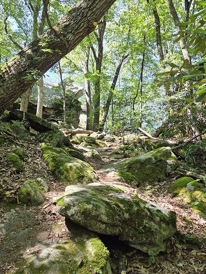 Nature's stairmaster comes with better views and zero membership fees. These moss-covered rocks have been waiting for your hiking boots.