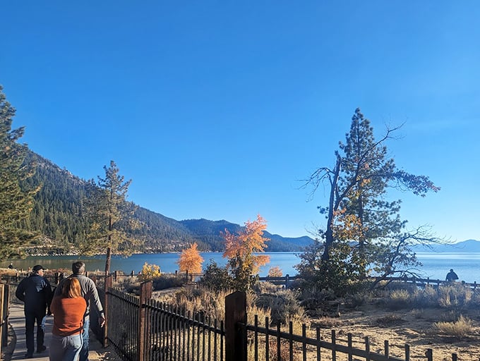 Autumn strolls along Lake Tahoe's edge. The perfect remedy for doom-scrolling and email fatigue.