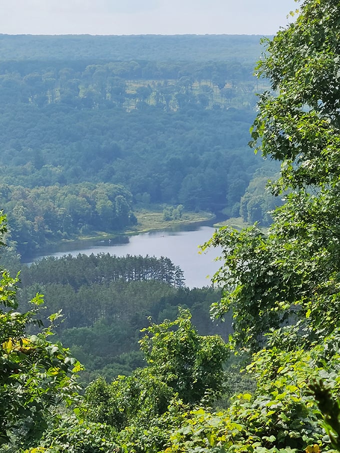 A bird's-eye view that makes you understand why they call Pennsylvania "Penn's Woods." The lake nestles into the landscape like it was always meant to be there.