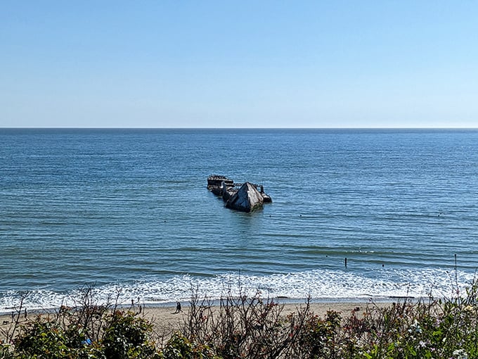 The SS Palo Alto, California's famous "Cement Ship," rests in peaceful retirement after a colorful past that included life as a 1920s dance hall.
