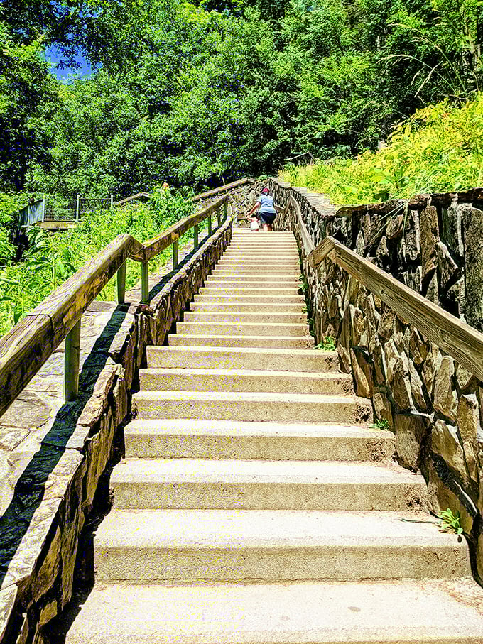 Stairway to heaven? Almost! These well-maintained steps make Looking Glass Falls one of the few spectacular waterfalls that doesn't require hiking boots and a sherpa.