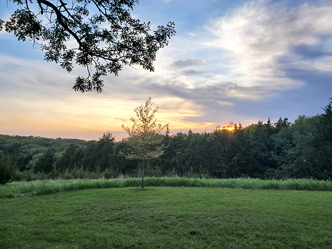 Mother Nature's evening show outperforms any Netflix special—no subscription required, just a willingness to pause and appreciate the view.