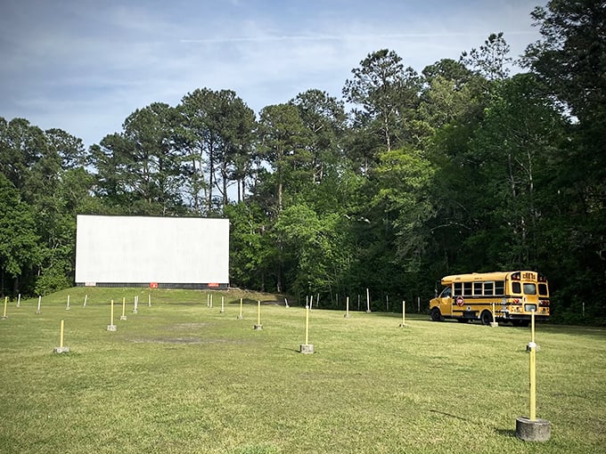 A school bus finds new purpose at the drive-in. Even educational vehicles need a night off to enjoy some blockbuster entertainment.