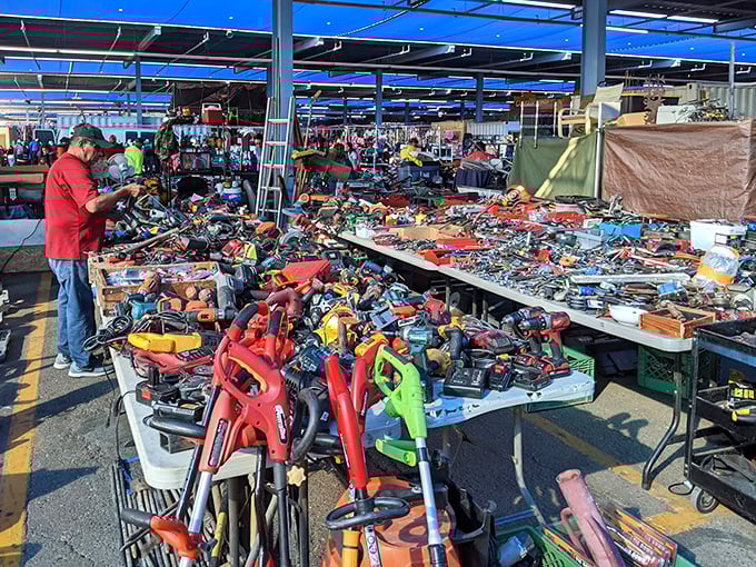 Tool paradise that would make Tim Allen grunt with approval—power drills, hand tools, and everything needed for weekend warriors.