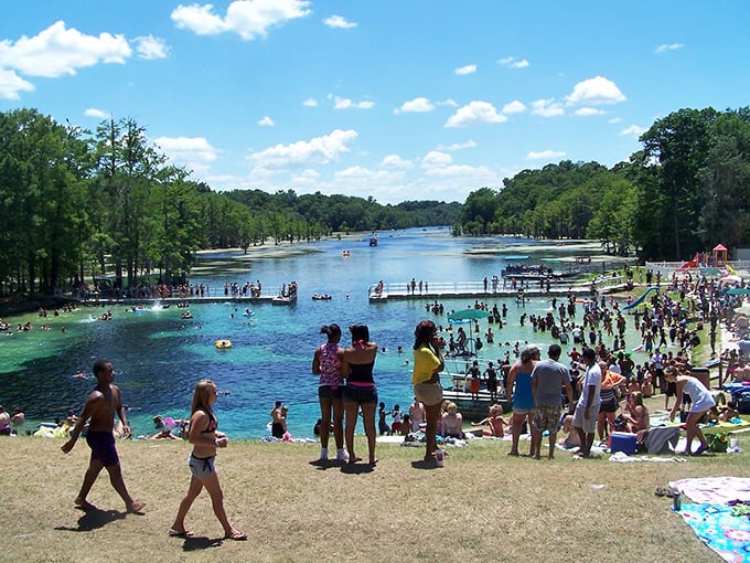 Florida's natural water park at its busiest – yet somehow the spring's vast blue expanse never feels crowded.
