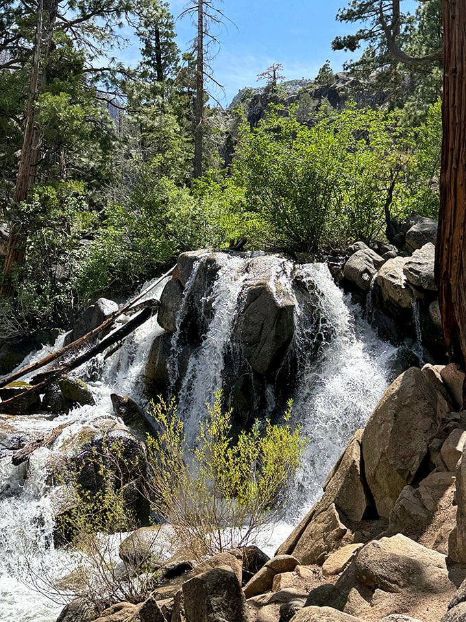 Nature's spa treatment in full force. This cascade doesn't need mood music or scented candles to deliver pure mountain tranquility.