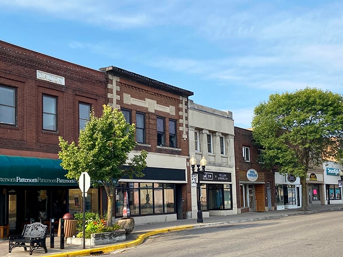 Bemidji's downtown buildings, lined with trees along the street, showcase an authentic character that chain stores simply cannot replicate.