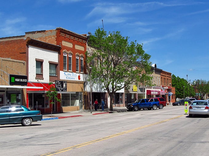 These tree-lined streets lead to businesses that understand fair pricing builds lasting community relationships beautifully.