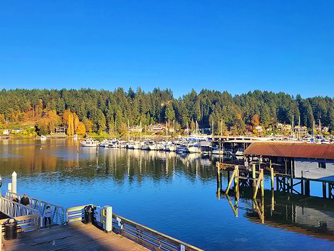 Gig Harbor's protected bay cradles boats like precious gems in nature's own jewelry box setting.