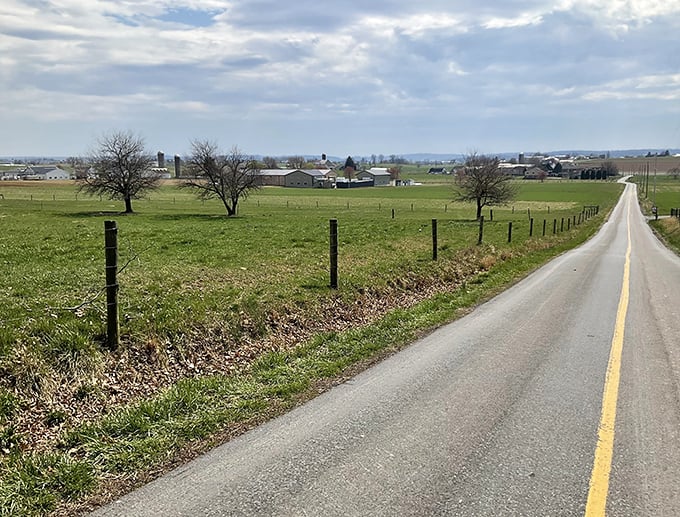 The open road calls, leading past fields that stretch forever. It’s a quiet, green slice of pure, uncomplicated Pennsylvania.
