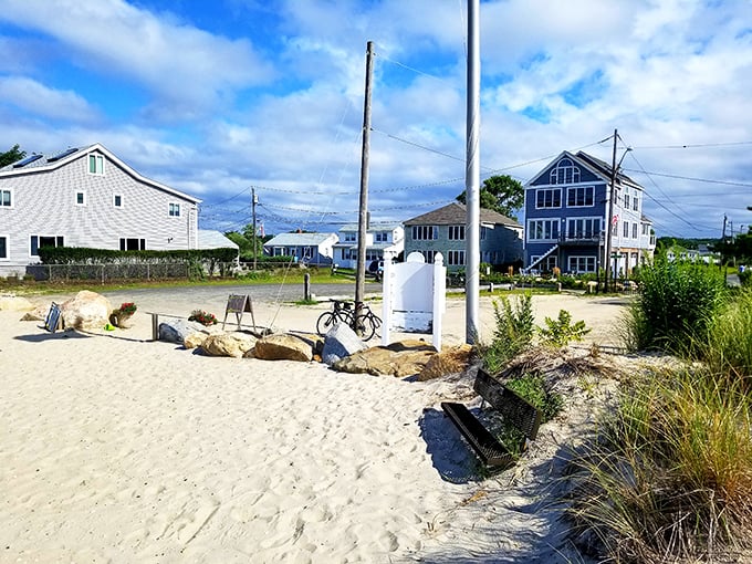 Beach grass and bicycle by the shore capture that laid-back coastal vibe where sandy toes and salty air are everyday luxuries.