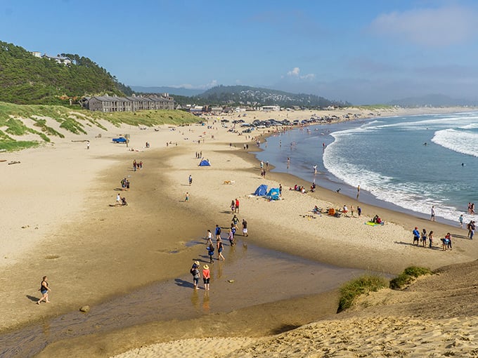 Pacific City’s wide, golden beach offers front-row seats to the rhythm of the waves—where every sunset feels like a private show.