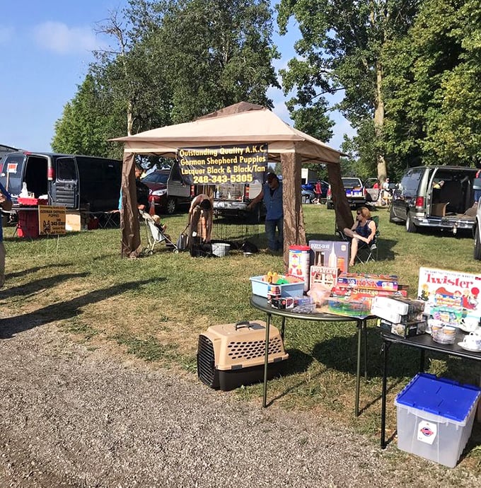 Puppy promotion station! This tent offers more than just German Shepherd information—check out those vintage board games!