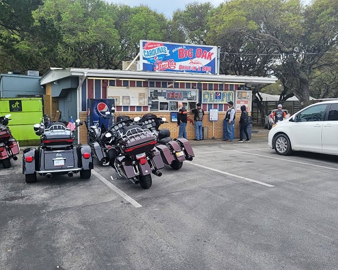 Classic roadside Americana meets coastal Carolina cuisine at Big Oak – where motorcycles and minivans unite for seafood.