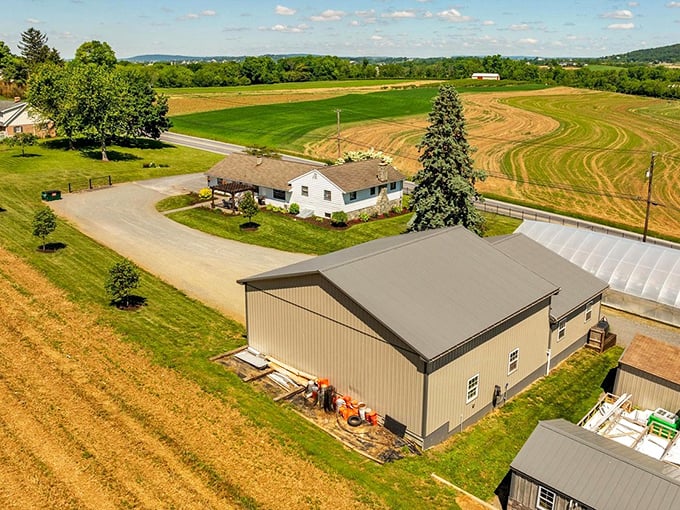 Those perfectly plowed fields aren't just for show—they're the first chapter in East Earl's farm-to-table story that ends deliciously on your plate.