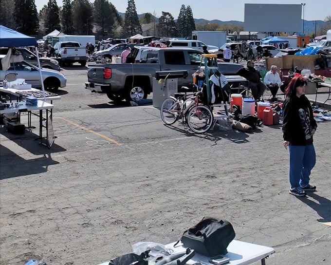 Nothing beats the thrill of outdoor treasure hunting where every table holds potential gold.