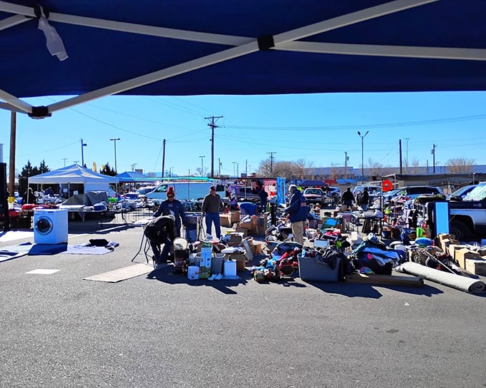 Blue skies and bargains! Albuquerque's largest outdoor market offers a treasure hunt where the journey is half the fun—and completely worth the sunscreen.