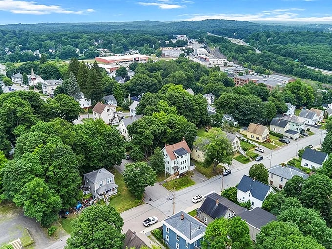 These tree-canopied streets offer shade and stories in equal, generous measure.