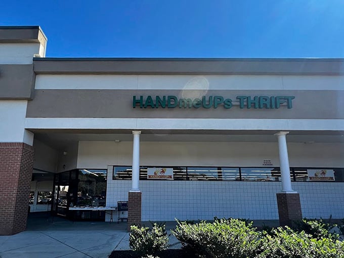 Modern thrift architecture creates comfortable shopping environments where quality meets incredible value every day.