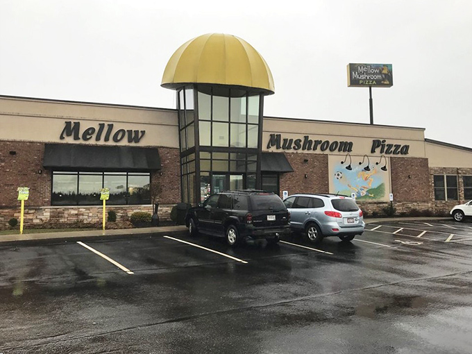 The whimsical mushroom-shaped entrance tells you this isn't your grandma's pizza joint – unless your grandma was a cool hippie.