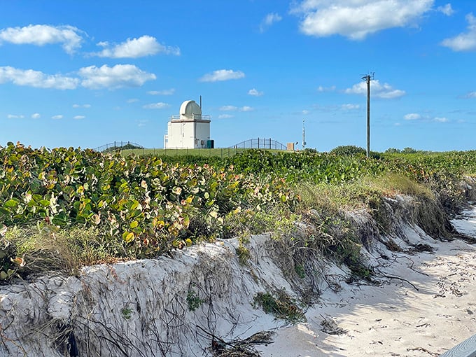 Playalinda Beach's historic lighthouse watches over pristine dunes and empty shores – your own private Atlantic paradise awaits.