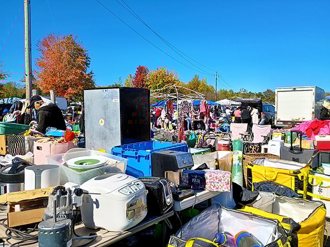 This organized chaos proves that one person's spring cleaning becomes another's shopping spree adventure.