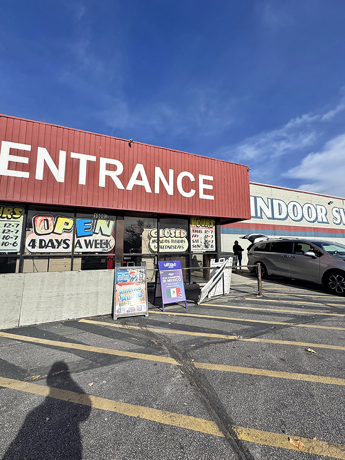 Warehouse-sized dreams come true where endless aisles promise something special around every corner turn. 