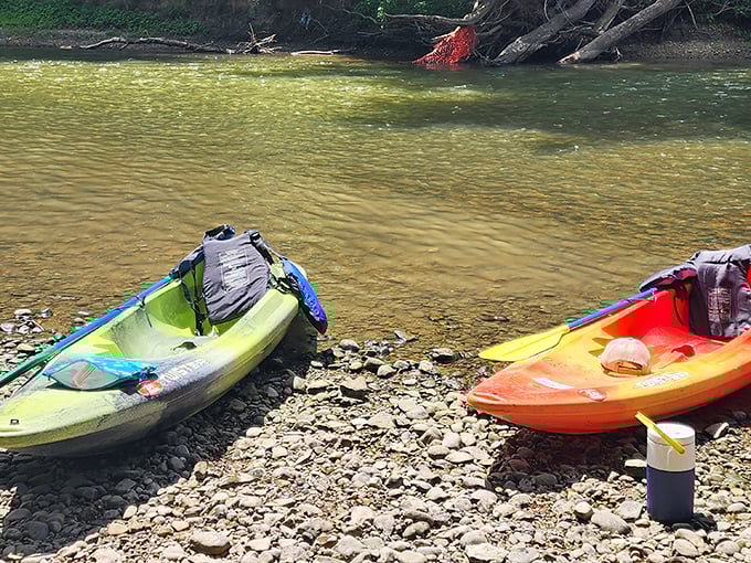 Adventure awaits on the Great Miami River, where these colorful kayaks promise a day of gentle currents and unexpected discoveries around each bend.