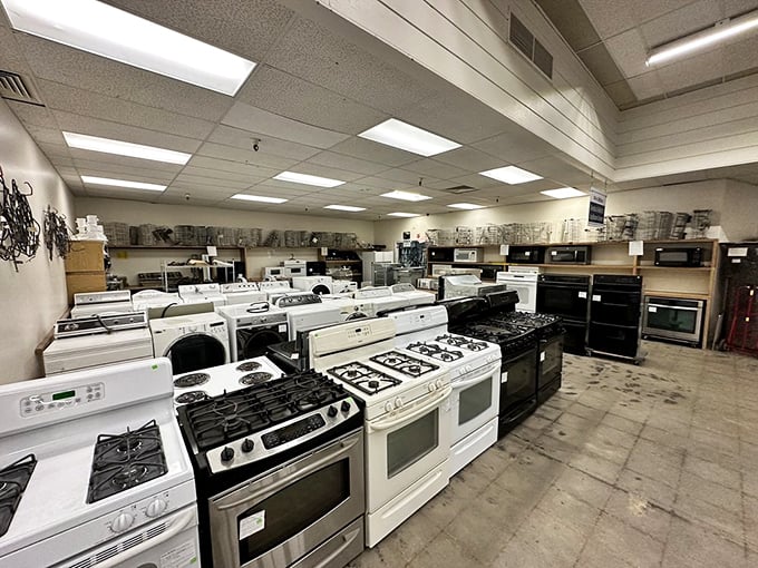The appliance section—where perfectly good stoves and refrigerators stand at attention, ready for their next kitchen assignment at fraction-of-retail prices.