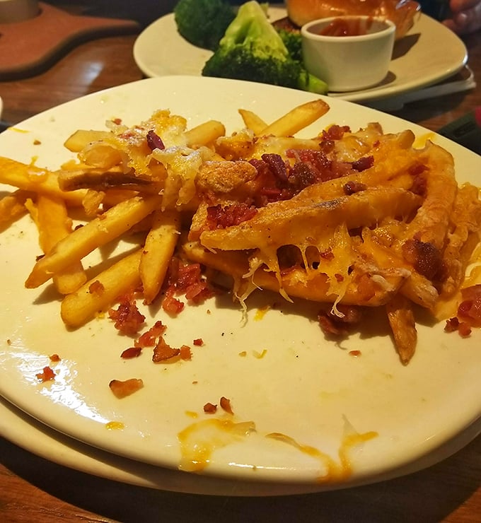 The Aussie Cheese Fries arrive like edible Jenga—crispy potatoes layered with melted cheese and bacon bits that disappear faster than you'd admit.