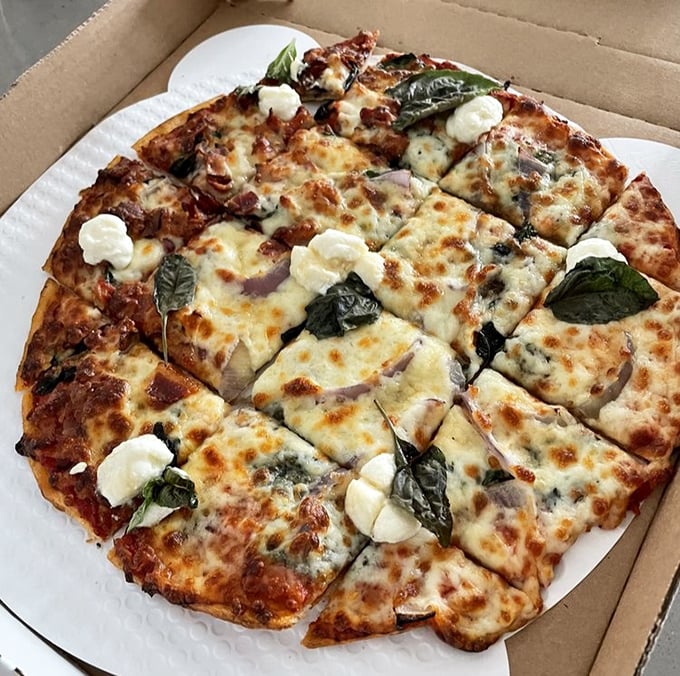The Bacon Basil pizza – where smoky meets fresh, like a sophisticated dance between two ingredients that were clearly meant for each other.