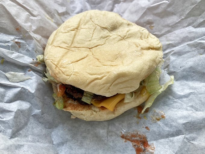 Behold the humble cheeseburger in its natural habitat—simple, unpretentious, and ready to make your taste buds throw a party.