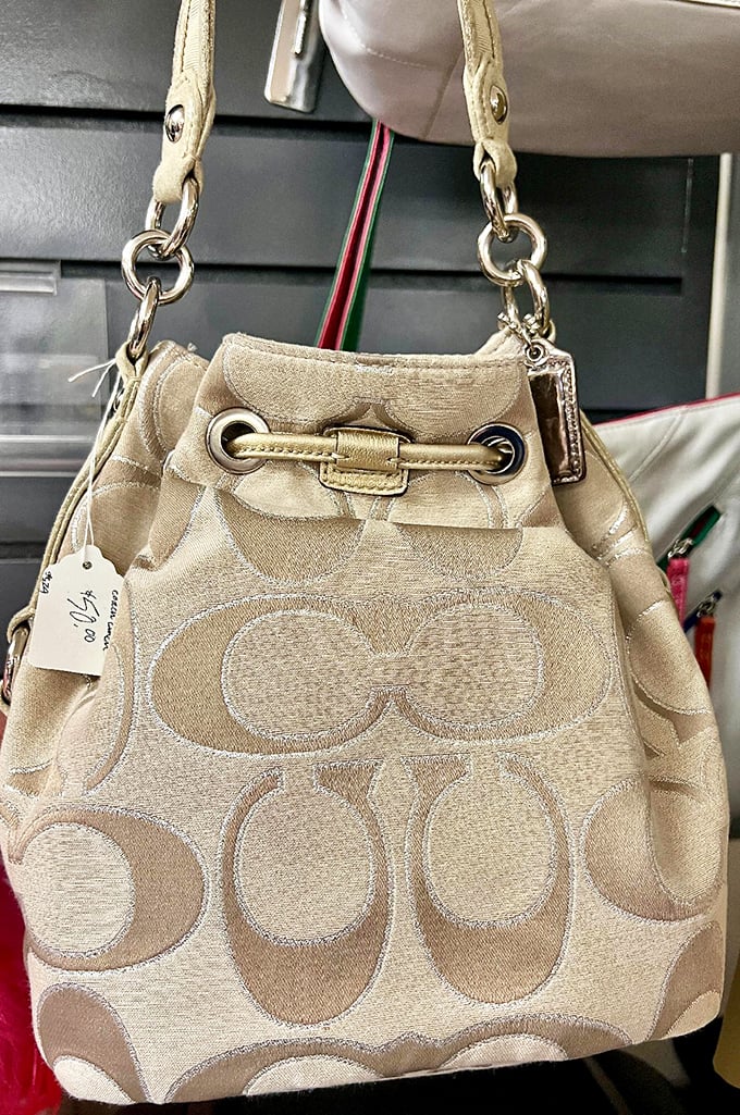 Designer bags without designer financial guilt. This Coach beauty is ready for its second act—like a Hollywood comeback story, but for accessories.