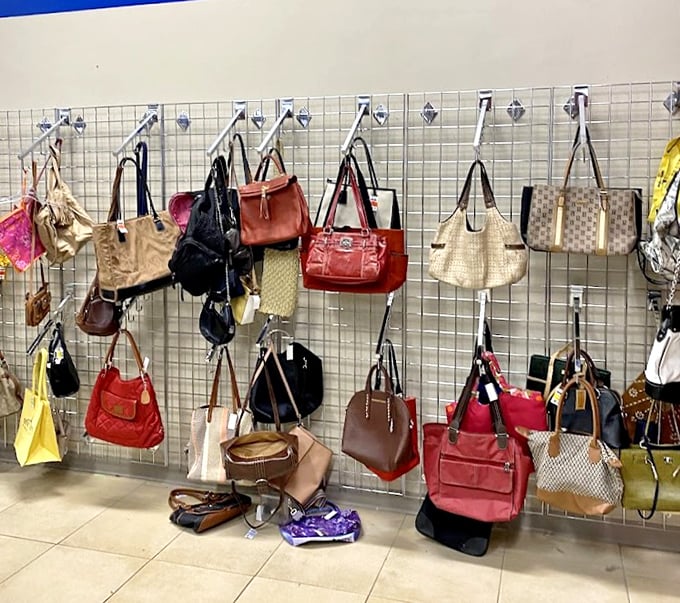 Handbags hanging like leather trophies, each one whispering tales of fancy brunches and important meetings they once attended.