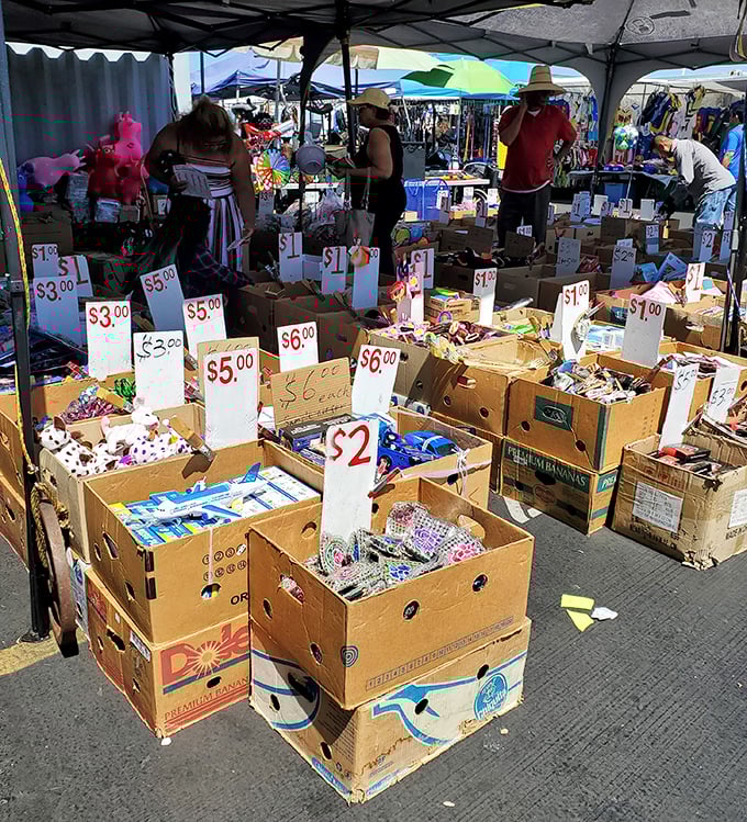 Dollar store prices with yard sale charm—these boxes of miscellany are where impulse purchases are born and budgets go to die.