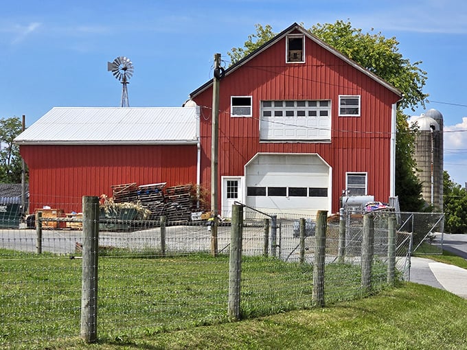 The iconic red barn stands sentinel over the farmland, a postcard-perfect reminder of Pennsylvania's agricultural heritage.