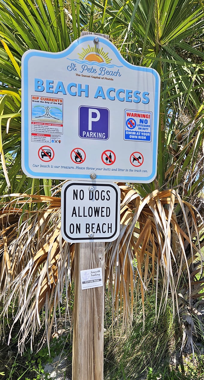 "Our beach is our treasure"—a gentle reminder that paradise comes with a few simple rules to keep it pristine.