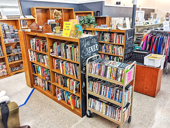 The book section: where bestsellers retire, forgotten classics resurface, and someone's college textbook finally finds its true purpose as decor.